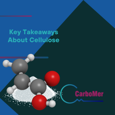 What Is Cellulose? | Uses and Benefits Explained